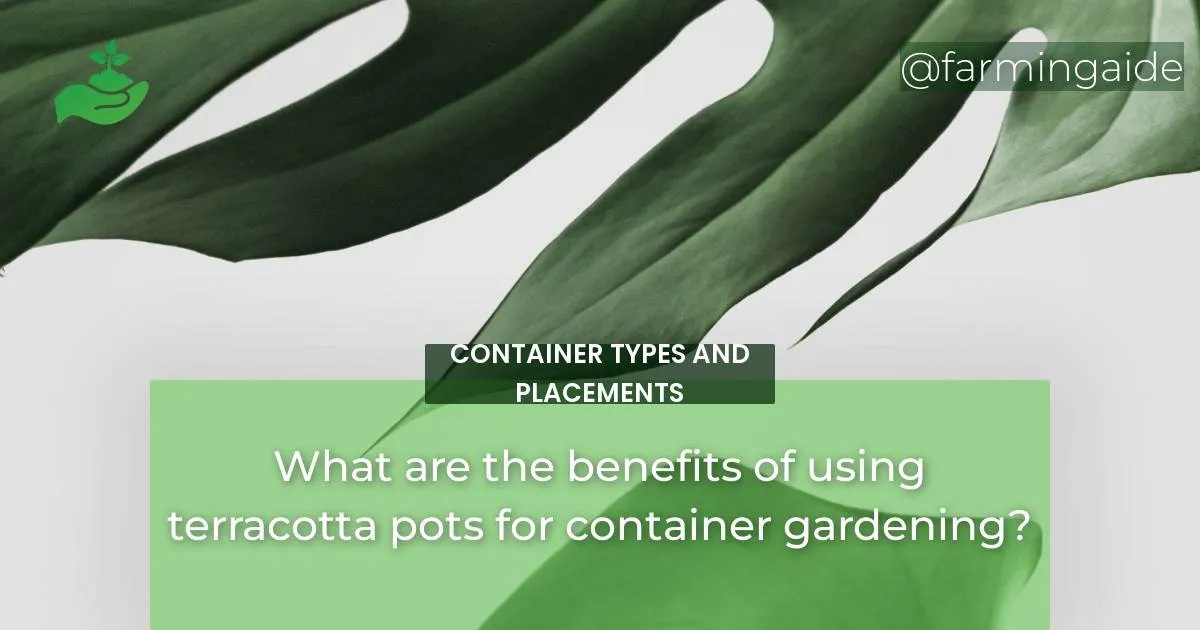 What are the benefits of using terracotta pots for container gardening?