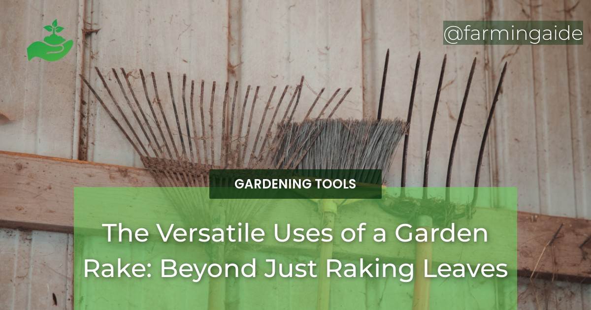 The Versatile Uses of a Garden Rake: Beyond Just Raking Leaves