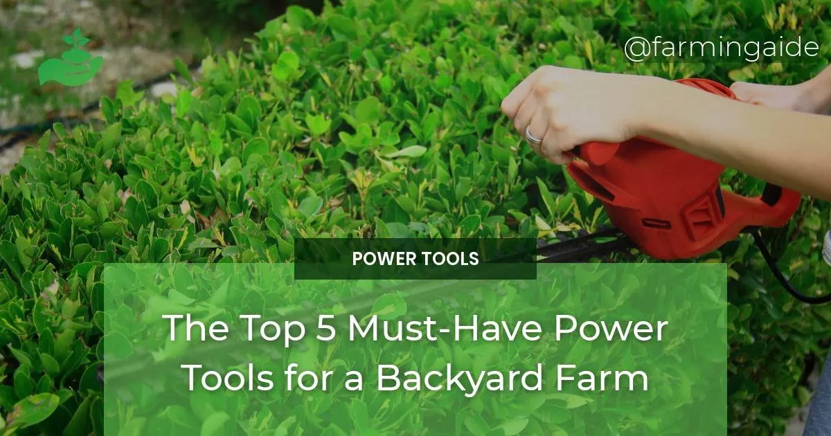 The Top 5 Must Have Power Tools for a Backyard Farm
