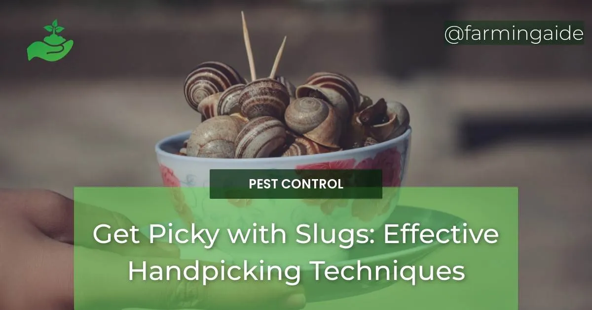 Get Picky with Slugs: Effective Handpicking Techniques to Control Slugs